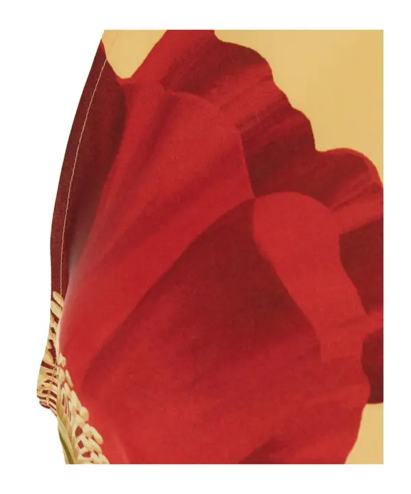 Farm Rio Poppy Flowers Sleeveless Maxi Dress