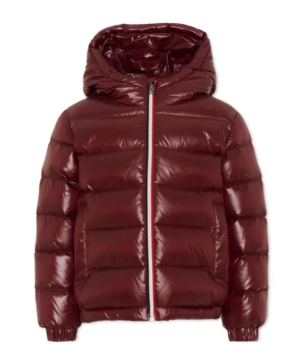 Moncler New Aubert Hooded Down Jacket