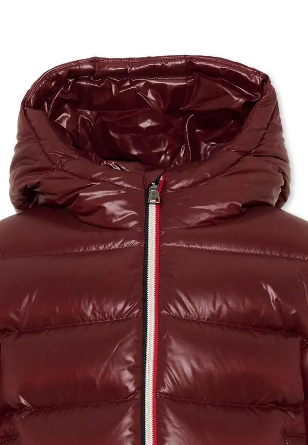 Moncler New Aubert Hooded Down Jacket