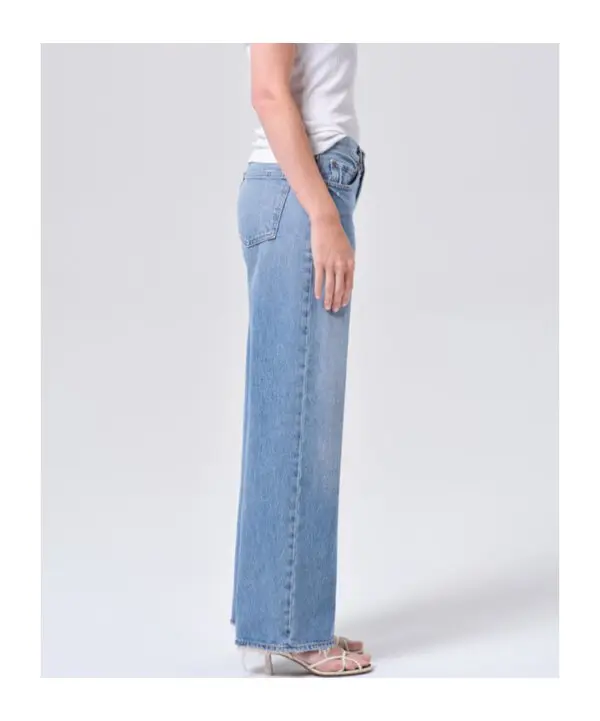 AGOLDE Low Rise Loose Jeans