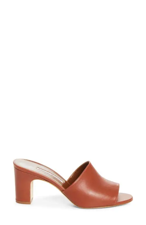 Manolo Blahnik Rapallarbar Block Heel Slide Sandal - Brown