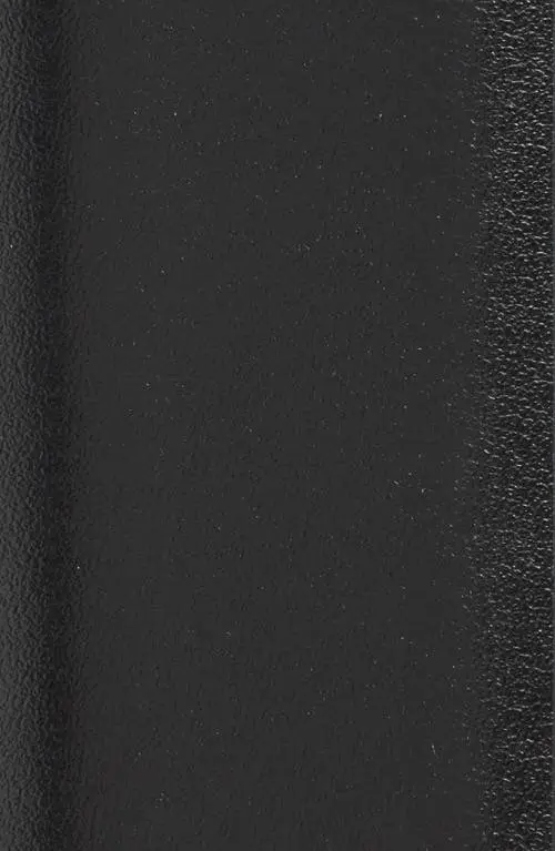 Khaite Manhattan Belt - Black/silver