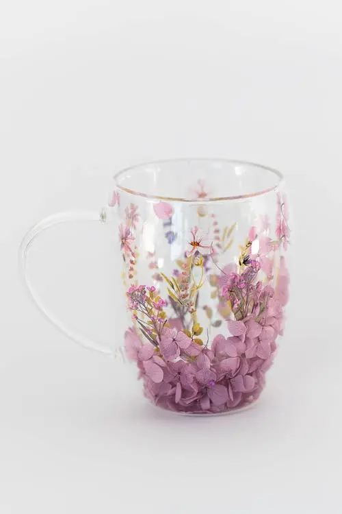 JEANNE FITZ Double Wall Flower Mugs, Assorted Colors