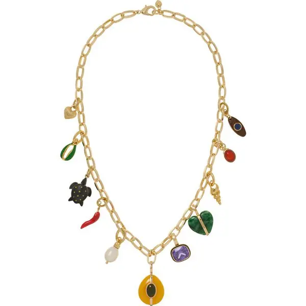 ROXANNE ASSOULIN Charm Chain Necklace - Multi