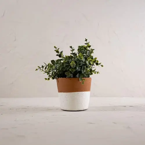 FORESIDE HOME AND GARDEN Terracotta Bottom Dipped Terracotta Planter