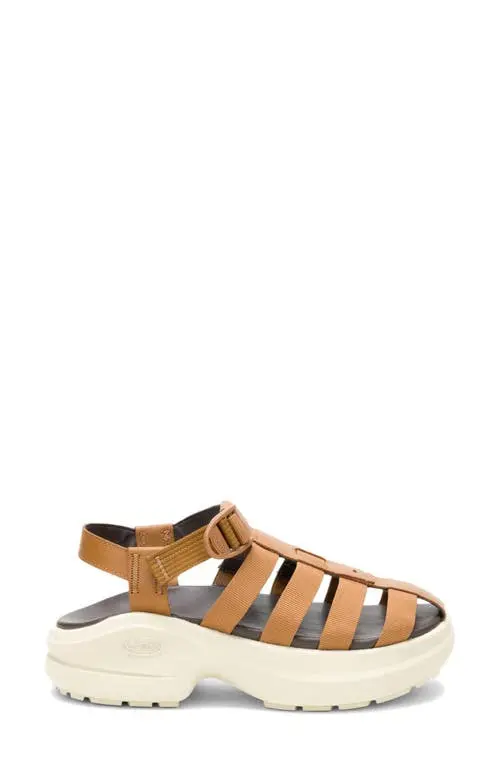 CHACO Cushform Fisherman Sandal - Cabin