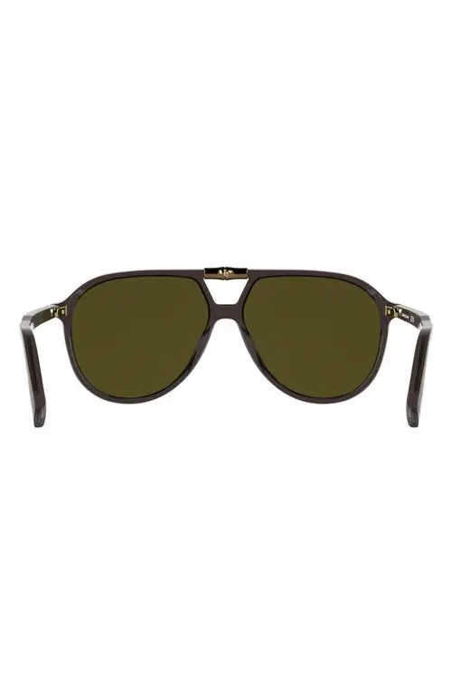 Longchamp Roseau 58mm Aviator Sunglasses - Transparent Brown