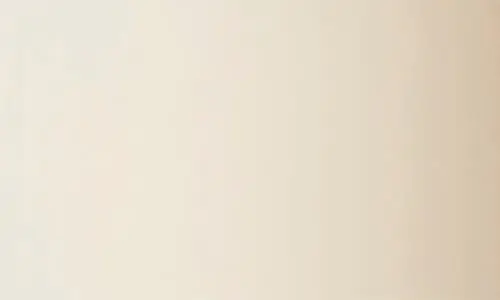 Aerin L'ansecoy Orange Blossom Scented Candle