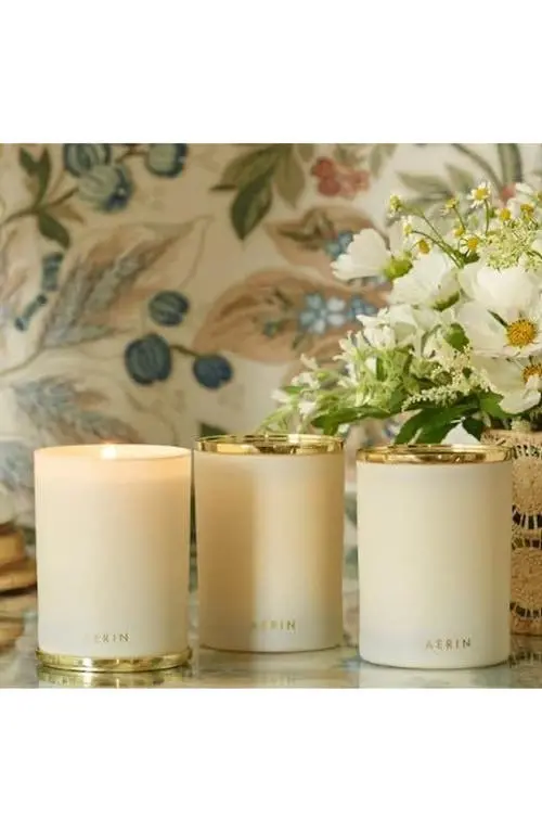 Aerin Sintra Gardenia Scented Candle