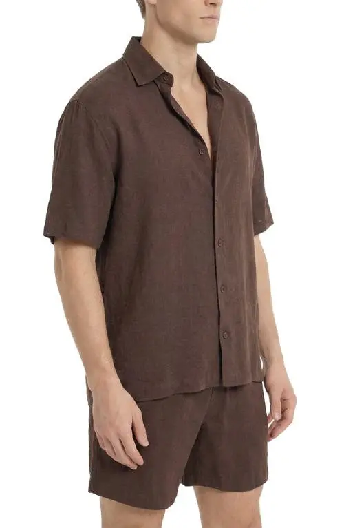 AREA STARS Sunburst Top