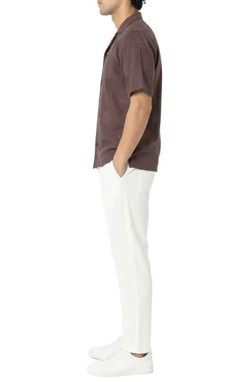 AREA STARS Sunburst Top