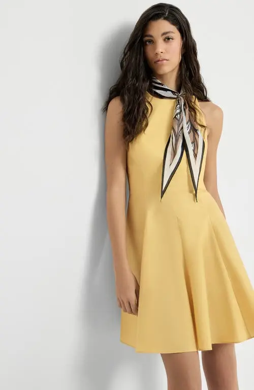 Brunello Cucinelli Poplin Mini Dress