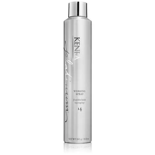 KENRA PROFESSIONAL Platinum Working Spray 5