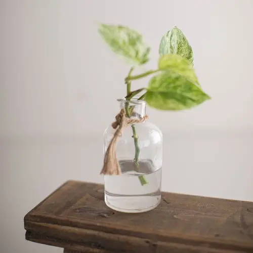 FORESIDE HOME AND GARDEN Natural Glass & Jute Bud Vase