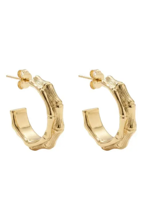 Argento Vivo Chunky Bamboo Hoop Earrings - Gold