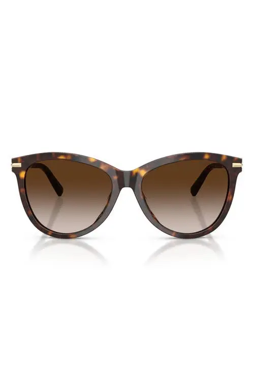 Tiffany & Co. Gradient Phantos Sunglasses - Havana/brown Gradient