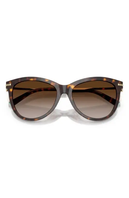 Tiffany & Co. Gradient Phantos Sunglasses