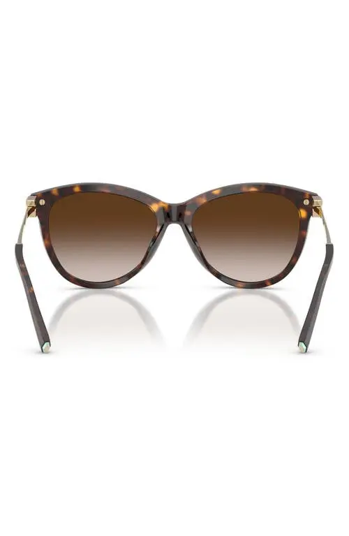 Tiffany & Co. Gradient Phantos Sunglasses