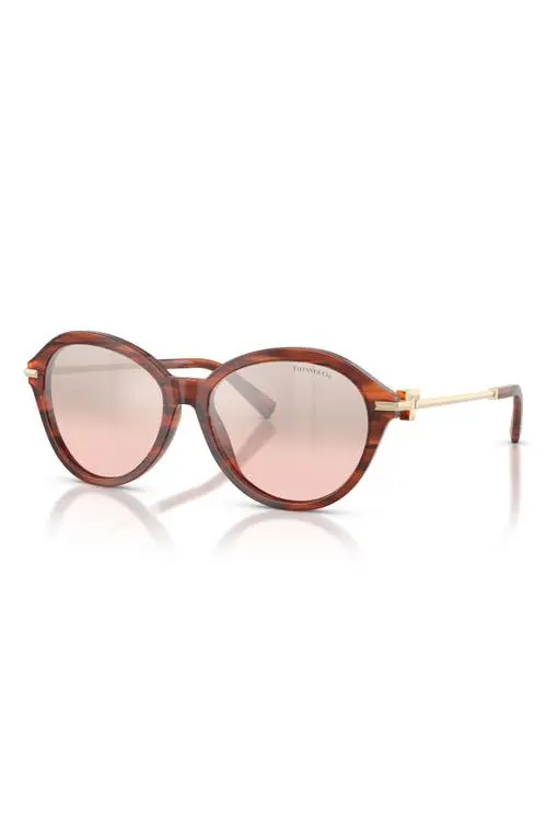 Tiffany & Co. Gradient Round Sunglasses - Ruby Striped Havana/pink