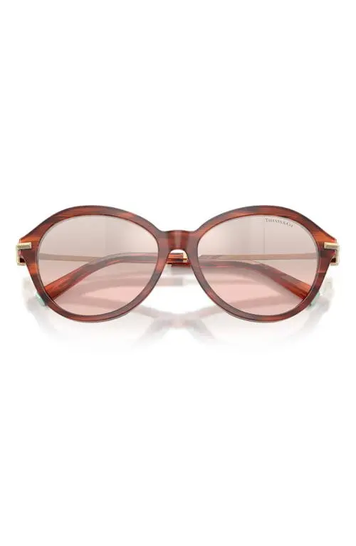 Tiffany & Co. Gradient Round Sunglasses - Ruby Striped Havana/pink
