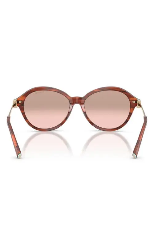 Tiffany & Co. Gradient Round Sunglasses - Ruby Striped Havana/pink