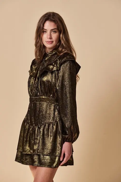 The Shirt By Rochelle Behrens Gwenyth Mini Dress
