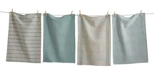 TAG Canyon Woven Dishtowel Set/4 Light Light Cotton Everyday - Blue