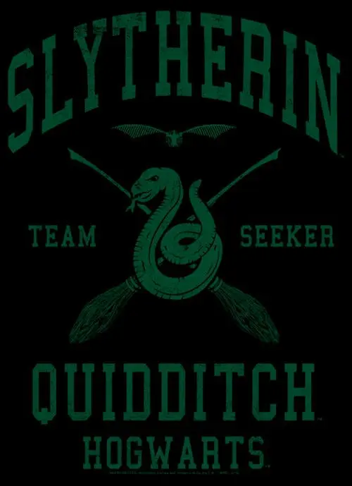HARRY POTTER Slytherin Quidditch Team Seeker Graphic T-shirt