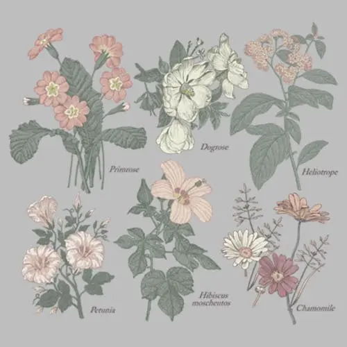 LOST GODS Floral Names Scoop Hem T-shirt