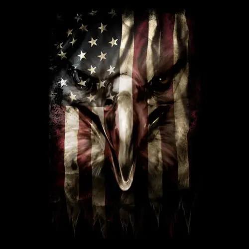 LOST GODS American Flag Eagle Graphic T-shirt
