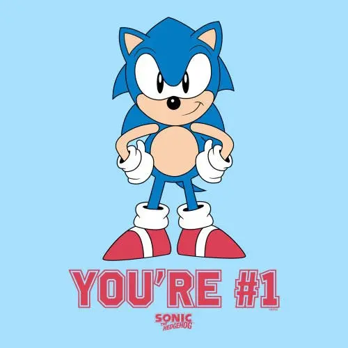 SONIC THE HEDGEHOG You're The Number One Graphic T-shirt
