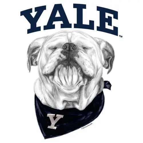 YALE UNIVERSITY Happy Handsome Dan Short Sleeve Graphic T-shirt
