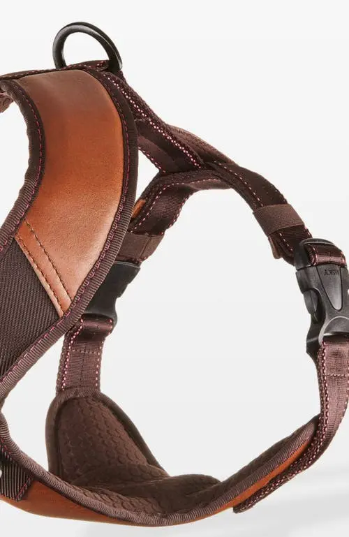 MASKY Bold Control Leather Dog Harness - Cooper