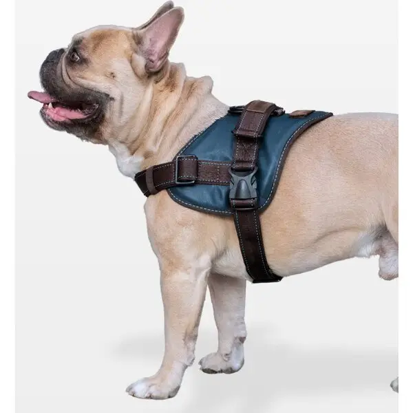 MASKY Signature Leather Dog Harness - Blue