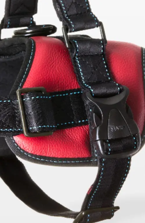 MASKY Signature Leather Dog Harness - Red