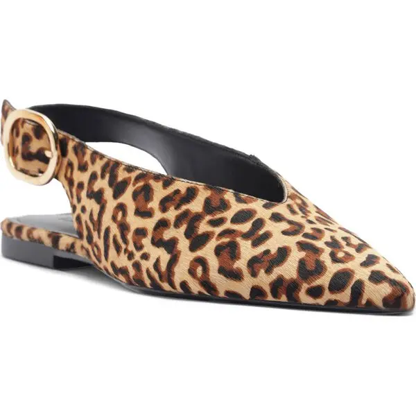 AREZZO Atlas Pointed Toe Slingback Flat - Leopard
