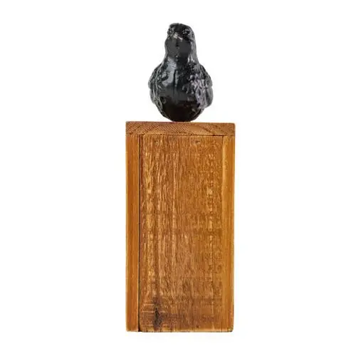 FORESIDE HOME AND GARDEN Bird Figure Cast Iron Wood & Mdf