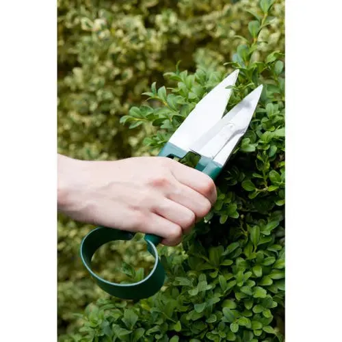 BURGON & BALL Topiary Trimming Shears