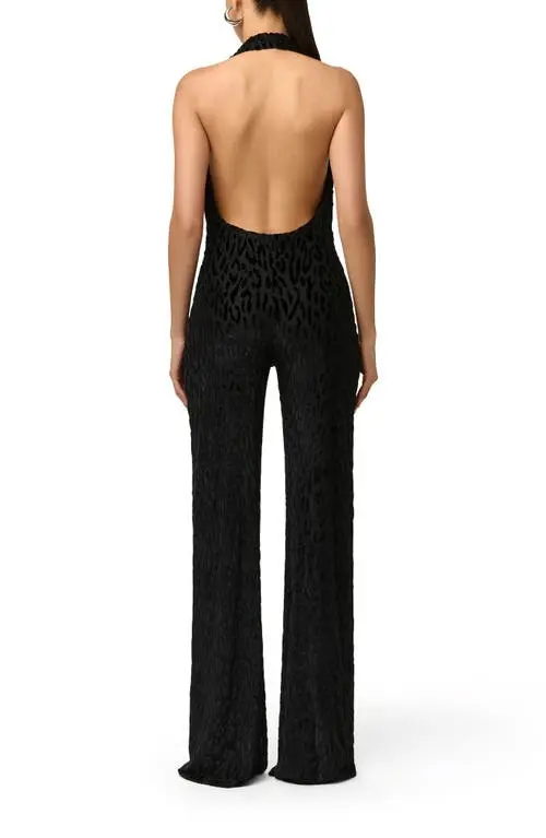 Naked Wardrobe Burnout Halter Jumpsuit