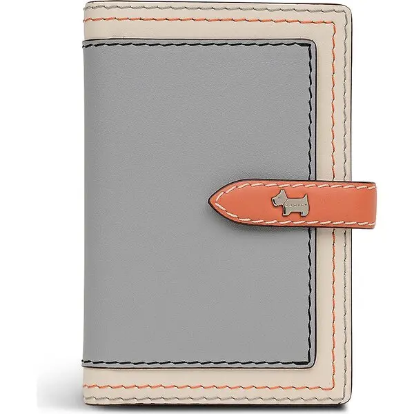 RADLEY Willis Streetcolourblock Passport Cover - Steel