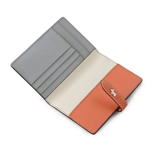RADLEY Willis Streetcolourblock Passport Cover
