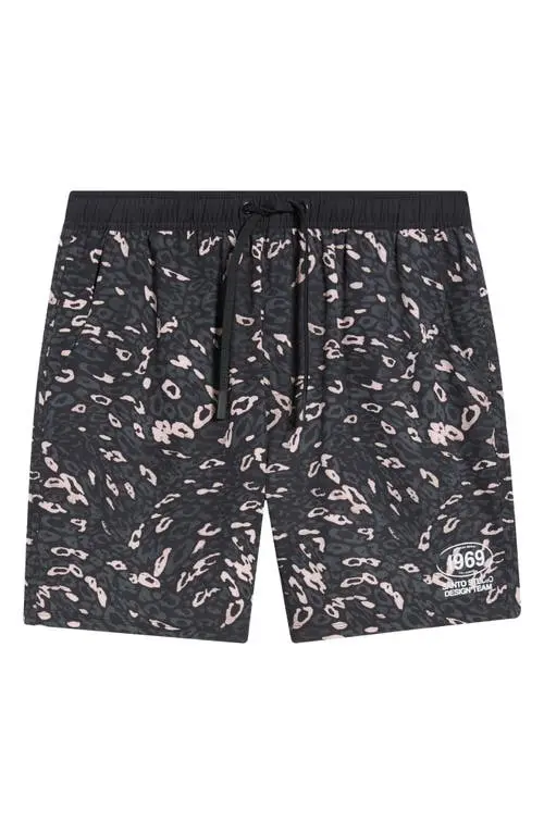 SANTO STUDIO Tempo Tech Shorts
