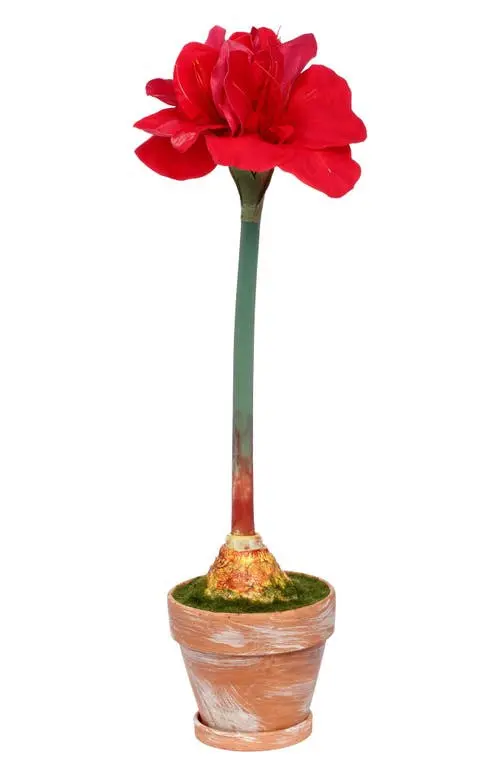 MARK ROBERTS Potted Amaryllis Flower - Red