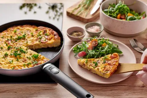 WOLL Ecolite Nonstick Fry Pan 11-inch