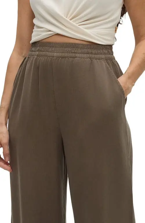 TENTREE Kaslo Wide Leg Pants - Timber