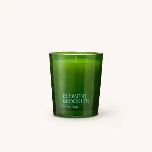 ELEMENT BROOKLYN Candle - Wicked Ficus