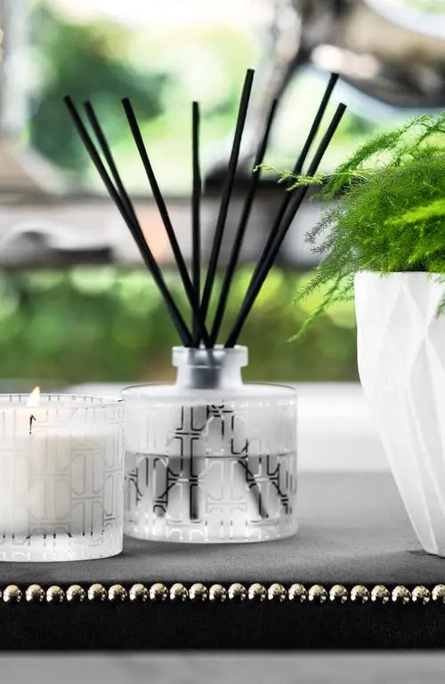 TOGAS Ginger&vanilla Aromatic Diffuser