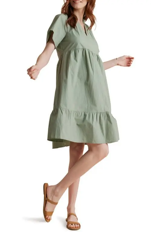 A Pea In The Pod Tiered Cotton Maternity Dress
