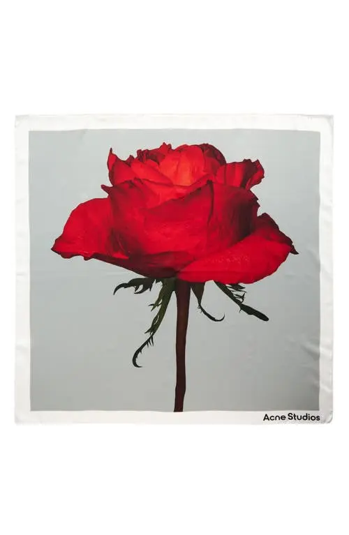 Acne Studios Vasco Rose Midsummer Silk Square Scarf - White Red