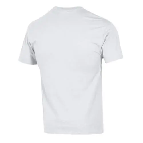 Champion Miami Dolphins Arch Over Logo T-shirt